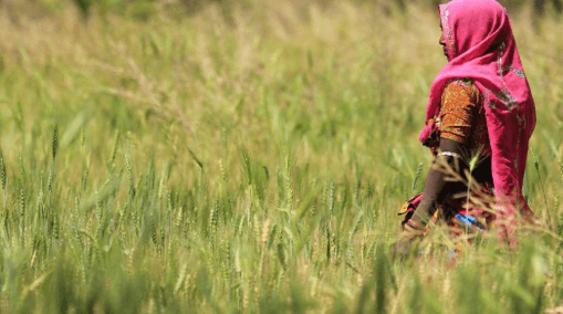 Clients | Sofomo Clients and Success Stories - Sofomo